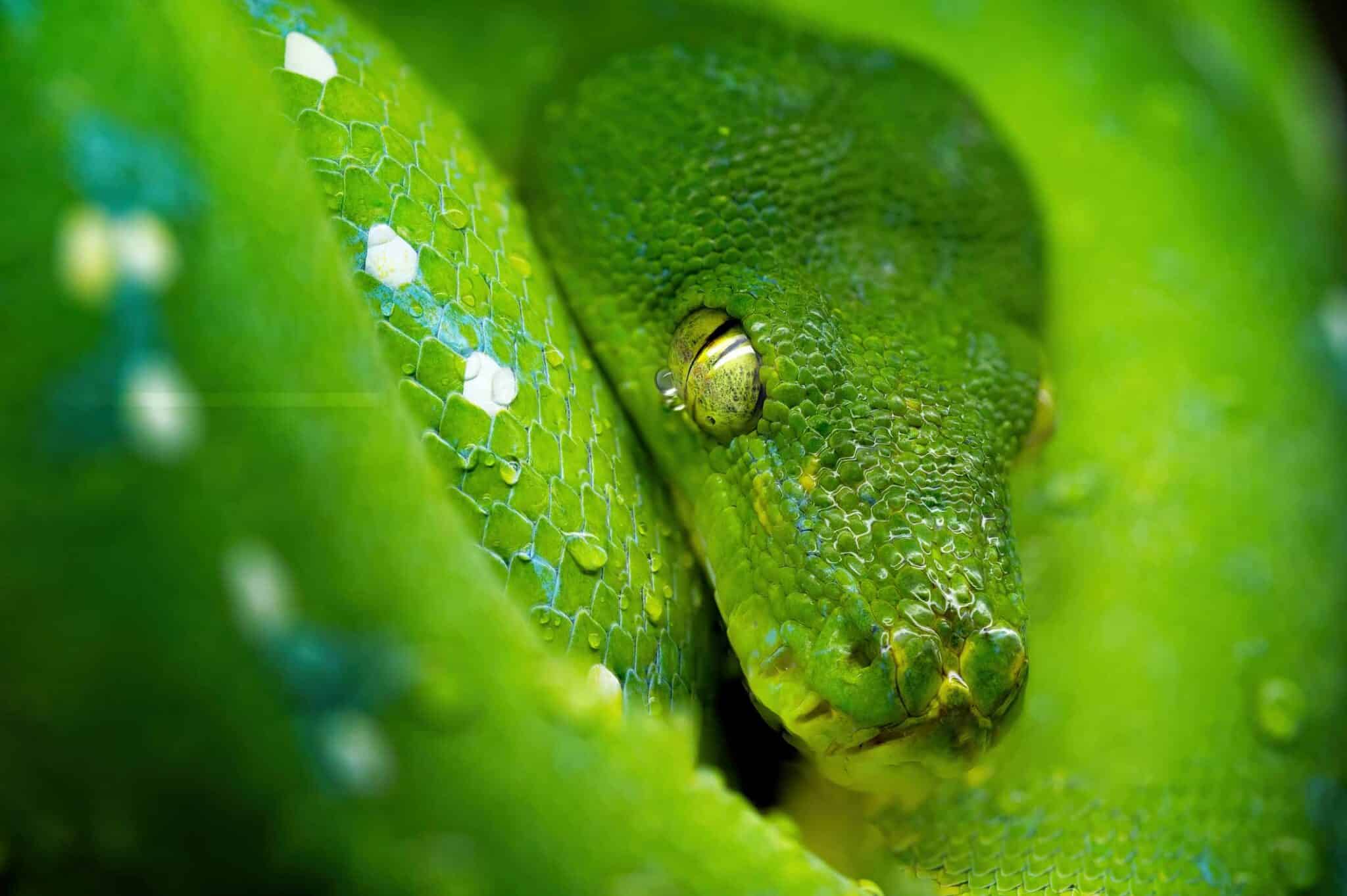 About Animal Care Equipment by Stoney | Professionals Animal Care